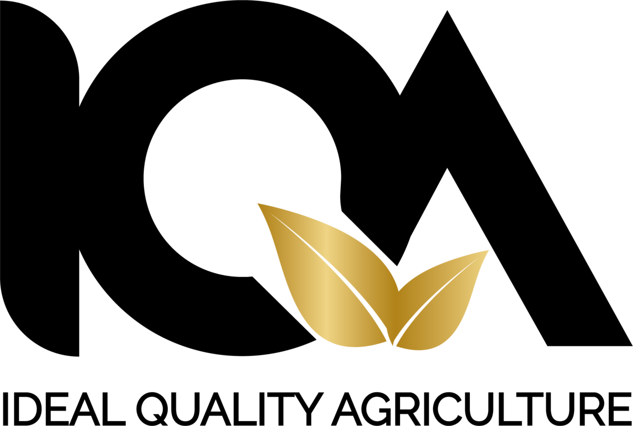 IQA | My WordPress Blog