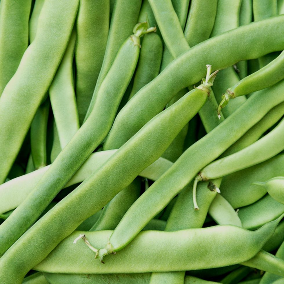 Green Beans | IQA
